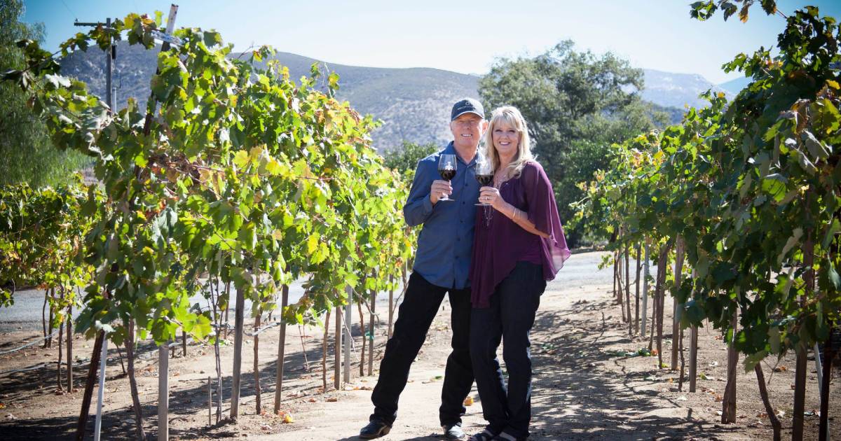 Home - Turtle Rock Ridge